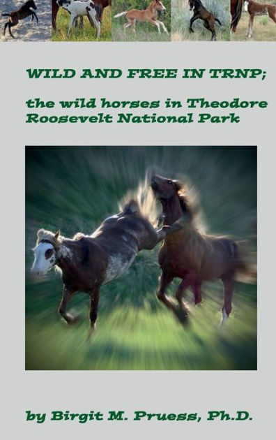 Wild and Free in TRNP: the wild horses of Theodore Roosevelt National ...