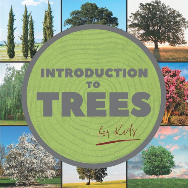 Introduction to Trees: Tree Identification Book For Kids by Hello Wild ...