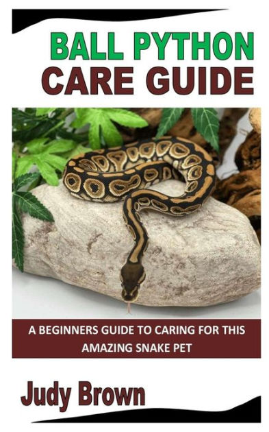 BALL PYTHON CARE GUIDE: A Beginners Guide To Caring For This Amazing ...