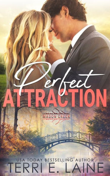 Perfect Attraction by Terri E. Laine, Paperback | Barnes & Noble®