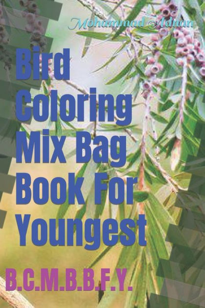Bird Coloring Mix Bag Book For Youngest: B.C.M.B.B.F.Y. by Mohammad ...