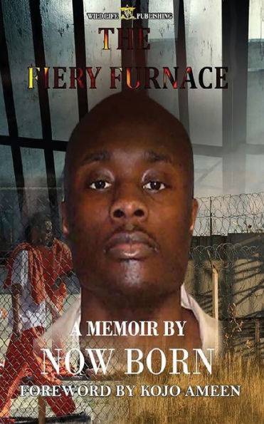 The Fiery Furnace: Memoir by Now Born by Now Born, Paperback | Barnes ...