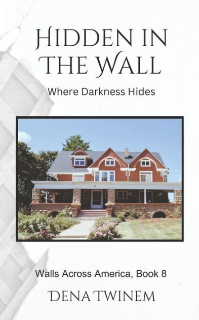 Hidden in the Wall: Where Darkness Hides by Dena Twinem, Paperback ...
