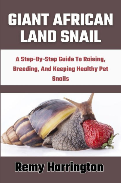 GIANT AFRICAN LAND SNAIL: A Step-By-Step Guide To Raising, Breeding ...