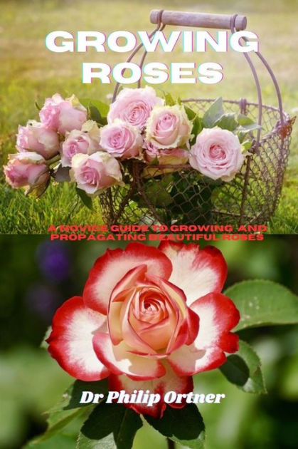 Growing roses: A novice Guide to Growing and propagating Beautiful ...