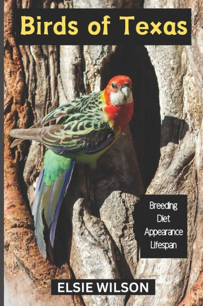 Birds of Texas: Guide to Exploring Birds in Texas by Elsie Wilson ...