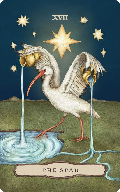 Tarot of the Woodland Wardens: A 78-Card Deck & Guidebook by Jessica ...