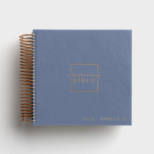 NIV Illustrating Bible, Acts-Ephesians by DaySpring, Hardcover | Barnes ...