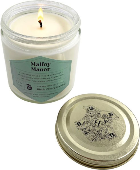 Harry Potter: Malfoy Manor Scented Candle [Barnes and Noble Exclusive ...