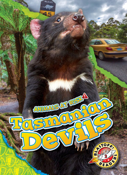 Tasmanian Devils by Rachel Grack, Dana Fleming | eBook (NOOK Kids ...