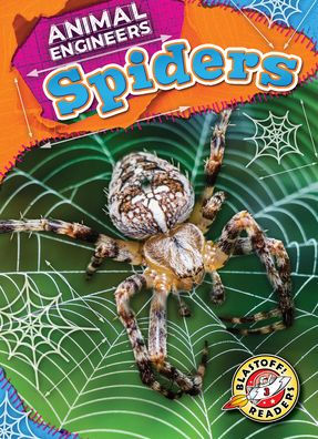 Spiders by Rebecca Pettiford, Hardcover | Barnes & Noble®