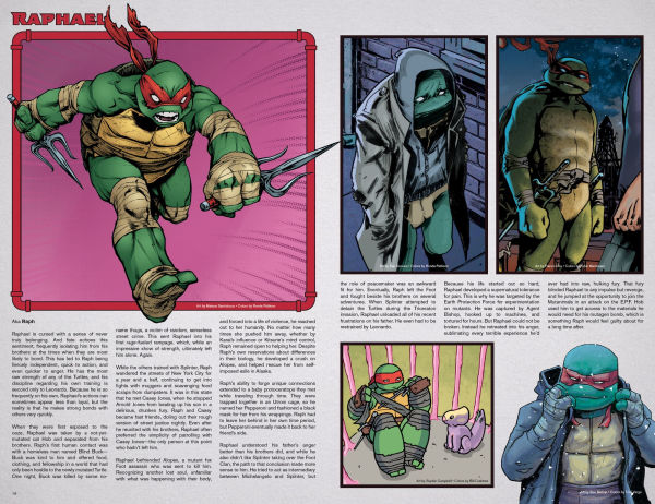 Teenage Mutant Ninja Turtles: IDW Sourcebook by Patrick Ehlers ...