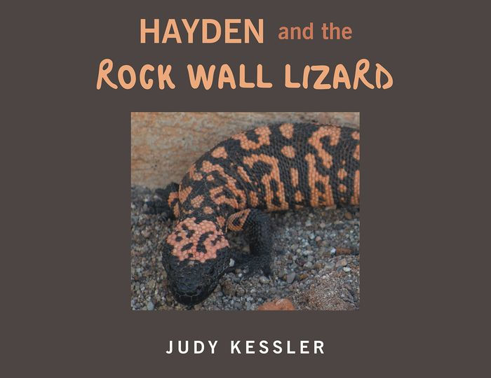 Hayden and the Rock Wall Lizard by Judy Kessler | eBook | Barnes & Noble®