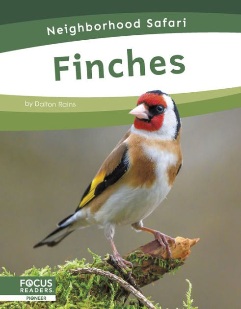 Finches by Dalton Rains, Paperback | Barnes & Noble®