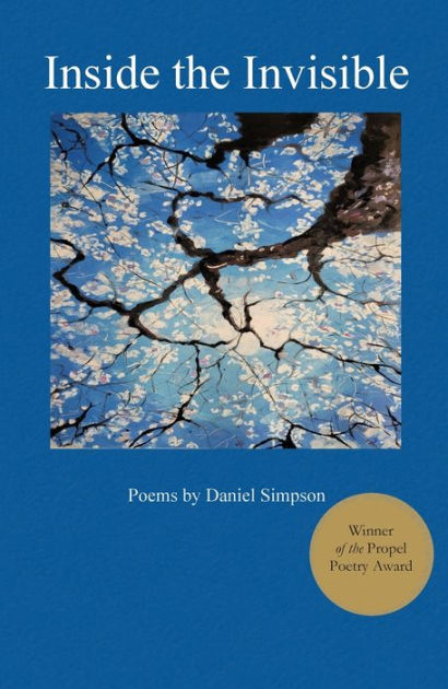 Inside the Invisible by Daniel Simpson, Paperback | Barnes & Noble®